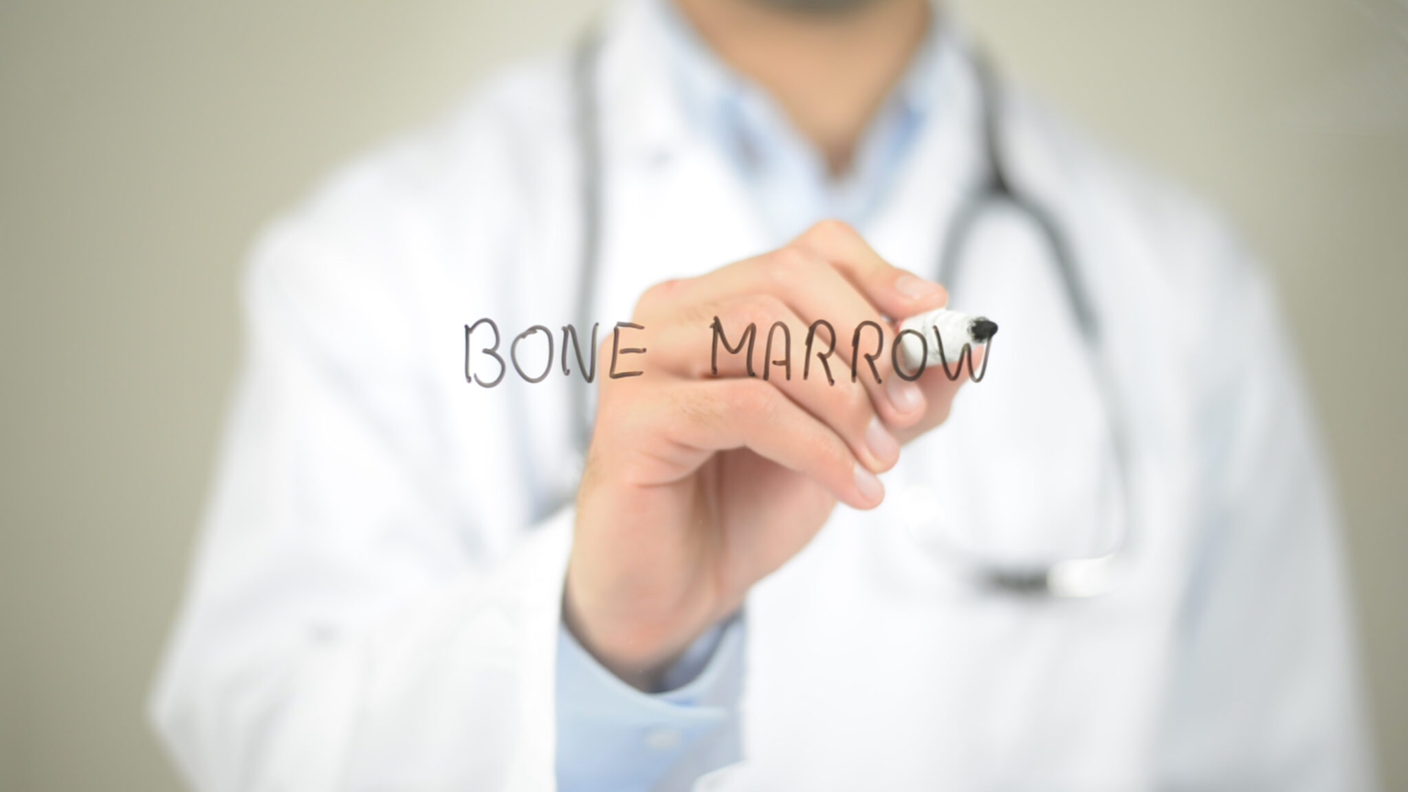 Myths and Facts About Bone Marrow Cell Therapy - Precision Regenerative ...